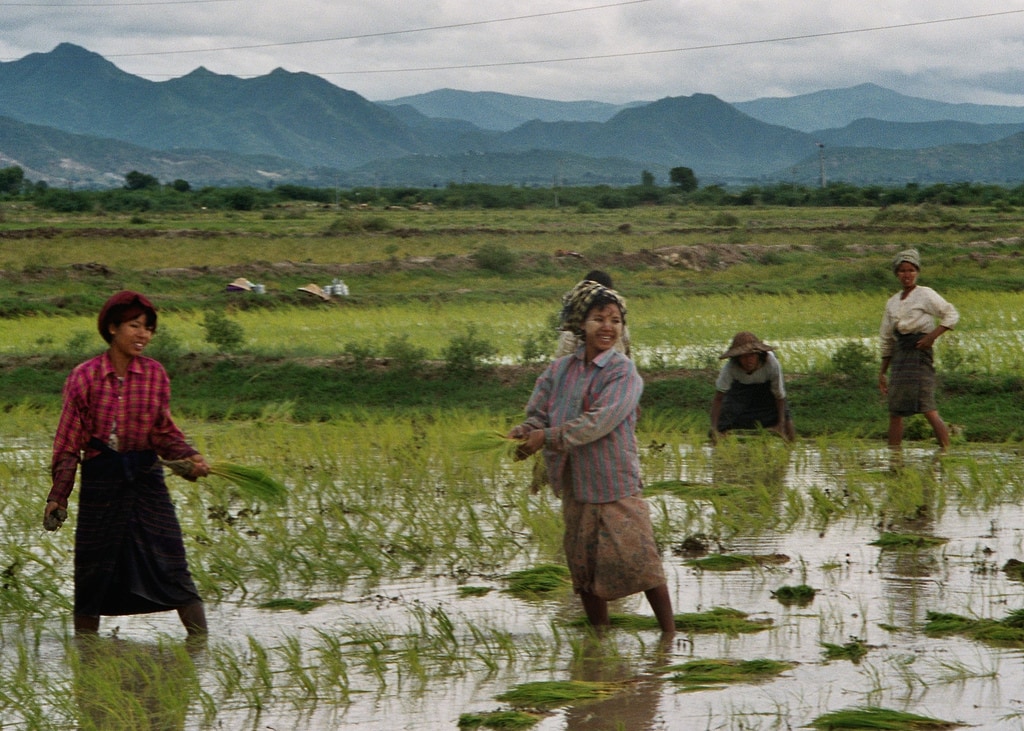 women myanmar - Womens Earth Alliance