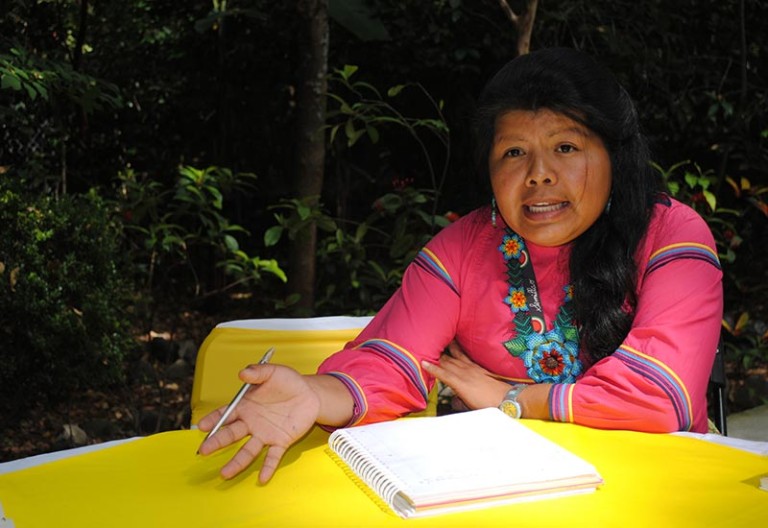 Mexican Indigenous Women Uniting for Land Protection - Womens Earth ...