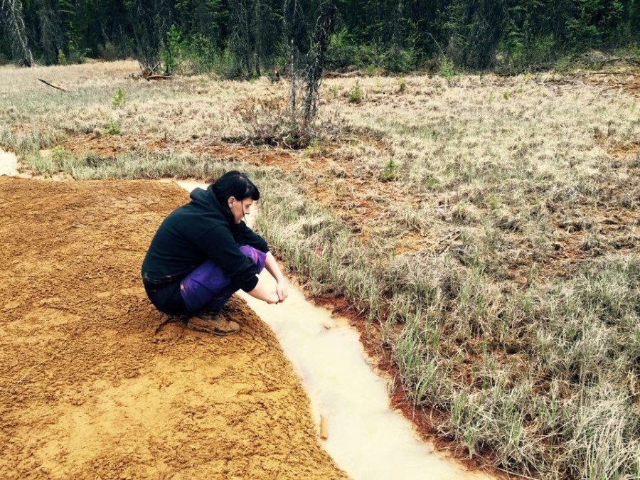 Shedding Light on Environmental Violence in North America - Womens ...